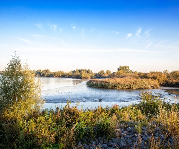 De meest verfrissende fietsroutes langs het water | Scheldeland, jouw ...