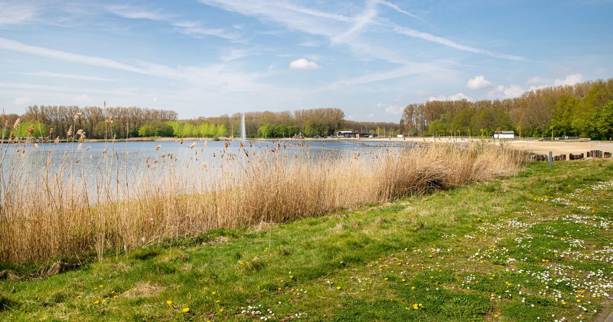 Provinciaal domein Nieuwdonk | Scheldeland, jouw vakantieland